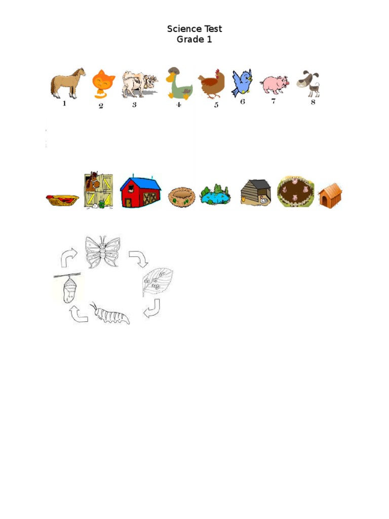 Worksheet of Science Grade 2 | PDF