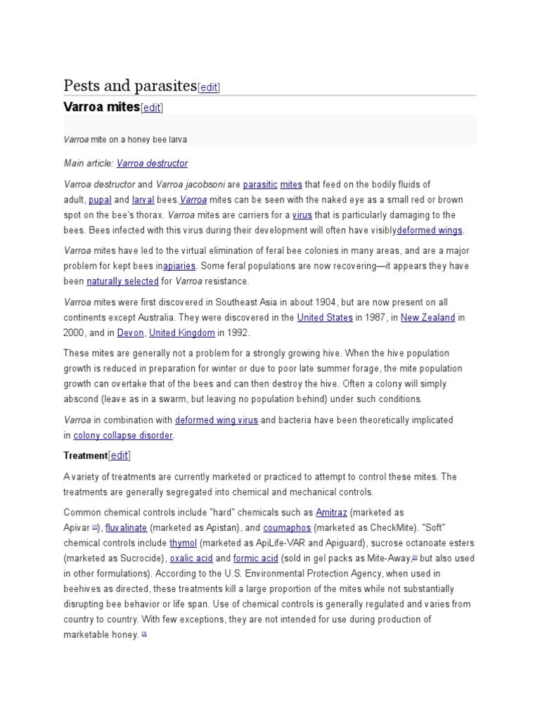 Pests and Parasites | PDF | Honey Bee | Beekeeping