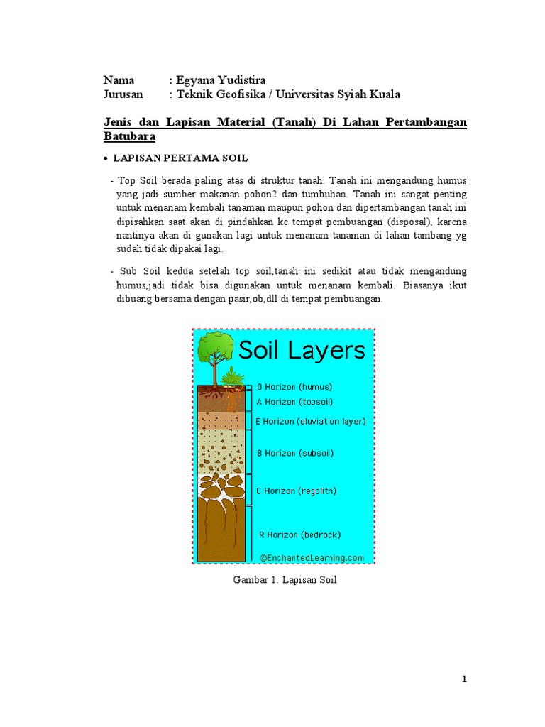 LAPORAN 1 (Jenis Dan Lapisan Material Batubara) - EGY | PDF | Sains ...