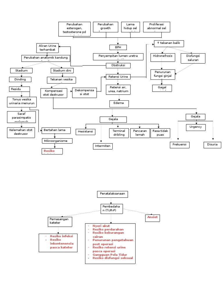 Patofisiologi BPH | PDF
