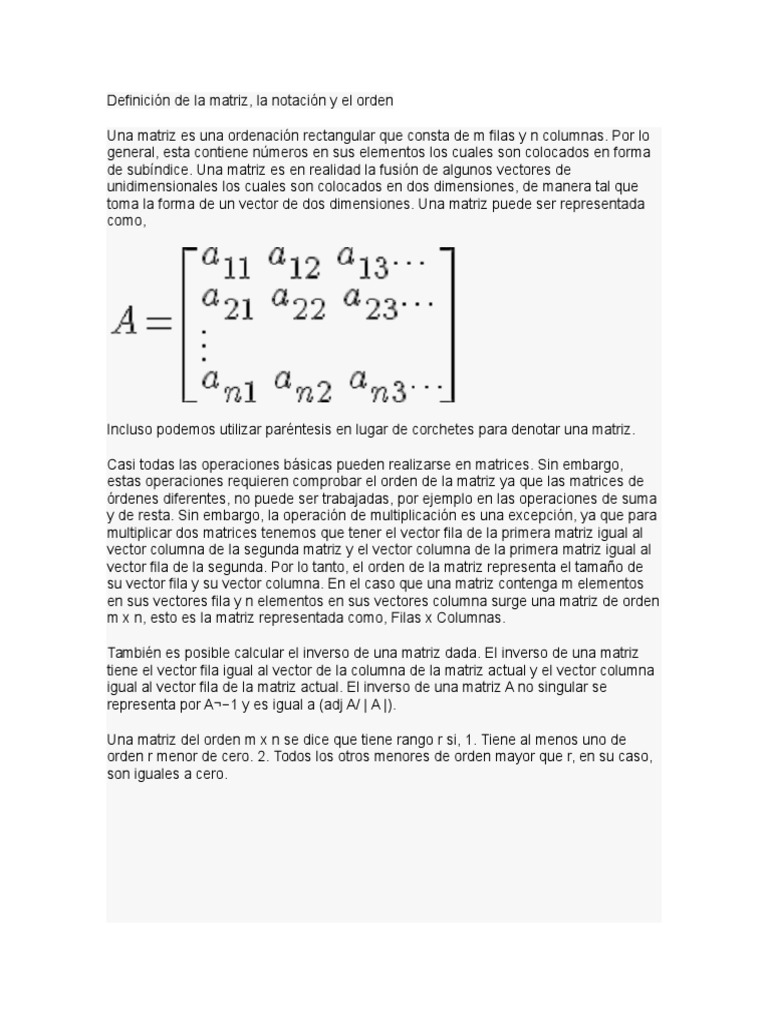 Definición de La Matriz | PDF | Matriz (Matemáticas) | Vector Euclidiano