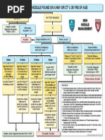 2017 Fleischner Guidelines for Nodules | PDF | Ct Scan | Cancer