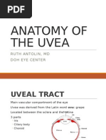 Tangent Screen Visual Field Testing | PDF | Retina | Color