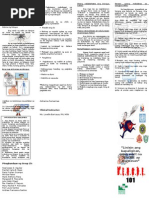 DENGUE LEAFLETS IEC POSTER by CHRISTIAN IGNACIO | PDF