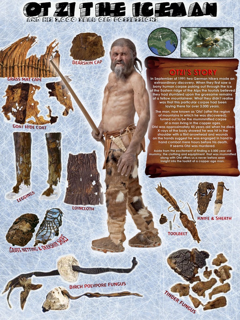 Otzi The Iceman PDF | PDF