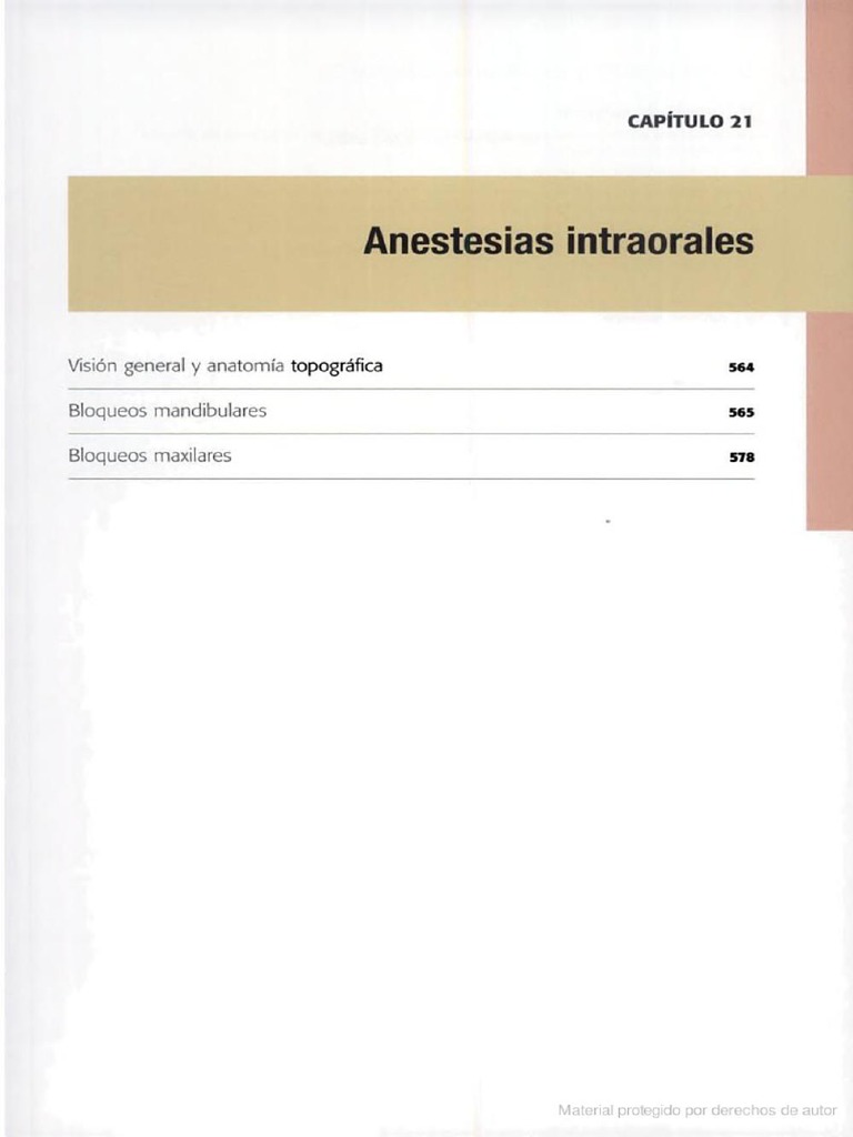 Netter Anatomia Basica Nervios Maxilar y Mandibular | PDF