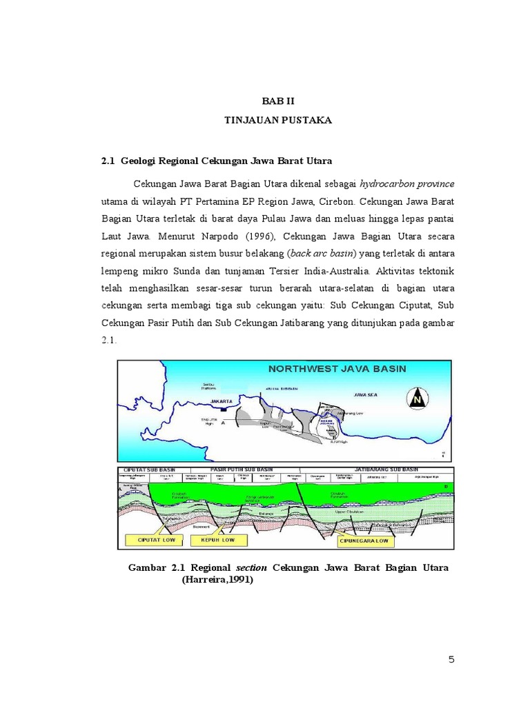 BAB II. Geologi Regional | PDF