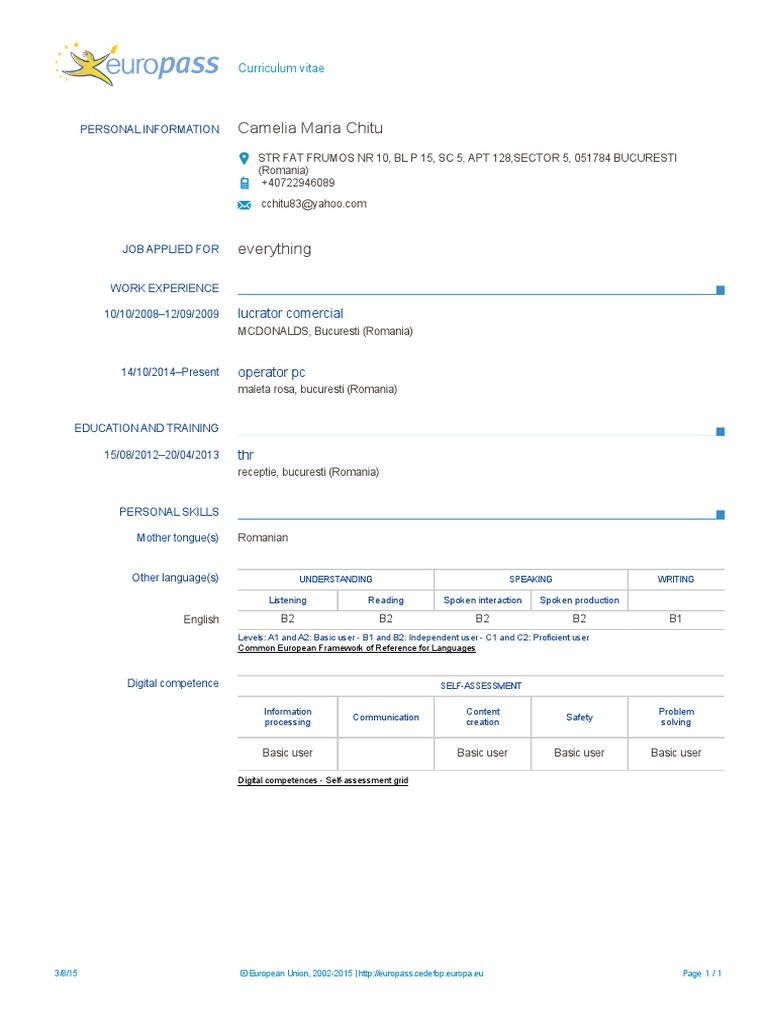 Europass CV 20150803 Chitu en | PDF | Business