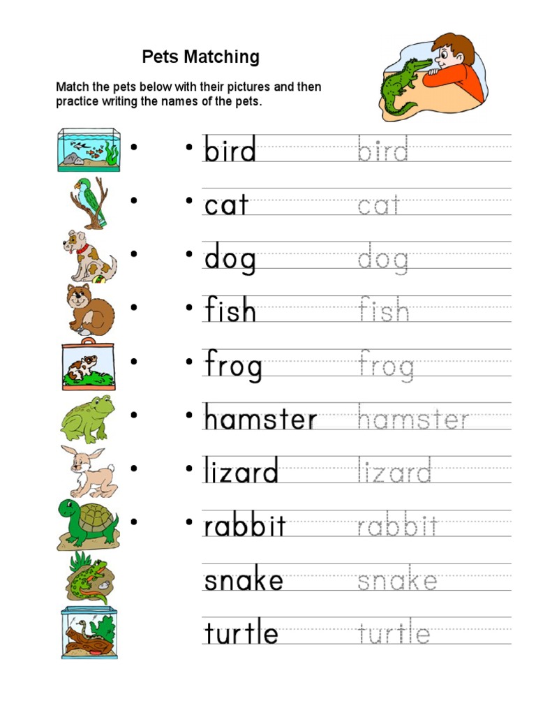 Pets Matching: Match The Pets Below With Their Pictures and Then ...
