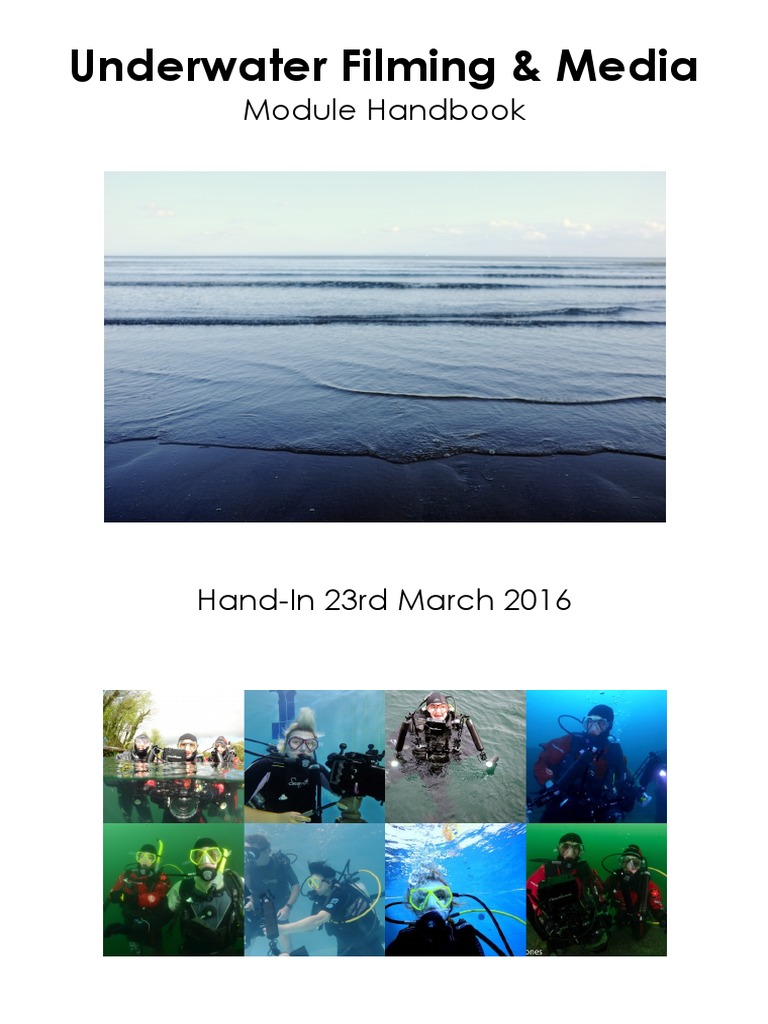 DIVE Module Handbook | PDF | Scuba Diving | Blog