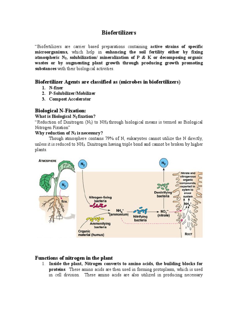 Microbes in Biofertilizers 6-9-15 | Soil | Botany
