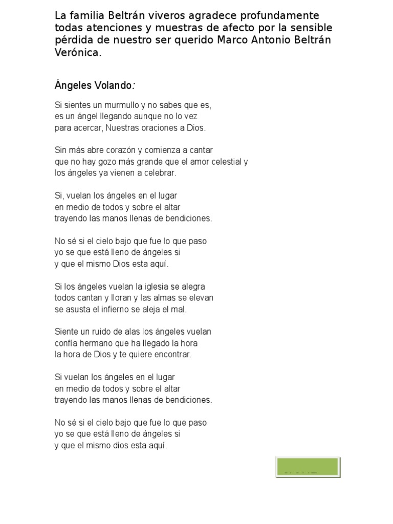 Ángeles Volando | PDF