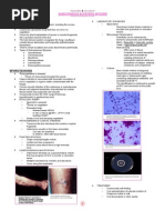 Dermatophyte Identification Chart | PDF | Fungus | Mycology