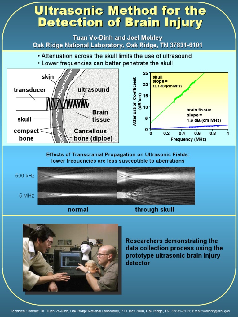 Ultrasound Poster | PDF | Ultrasound | Waves