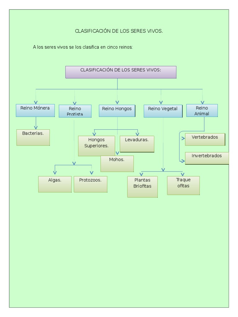 Clasificación de los 5 Reinos Biológicos | PDF | Algas | Plantas