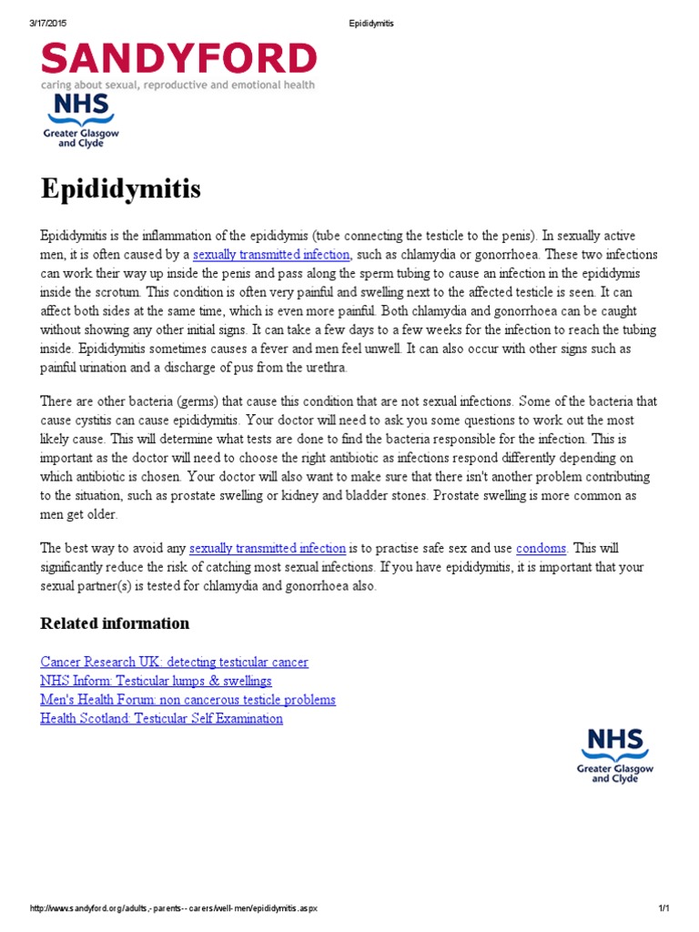 Understanding Epididymitis Causes and Care | PDF | Wellness