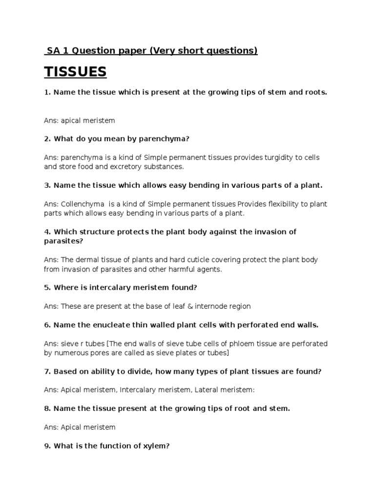 Class 9 Plant Tissue Questions | PDF | Tissue (Biology) | Branches Of ...