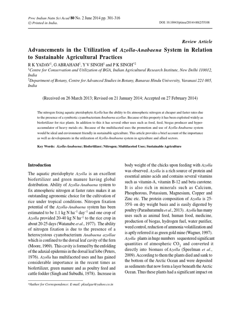 Azolla-Anabaena: Biofertilizer Benefits | PDF | Organic Farming | Rice