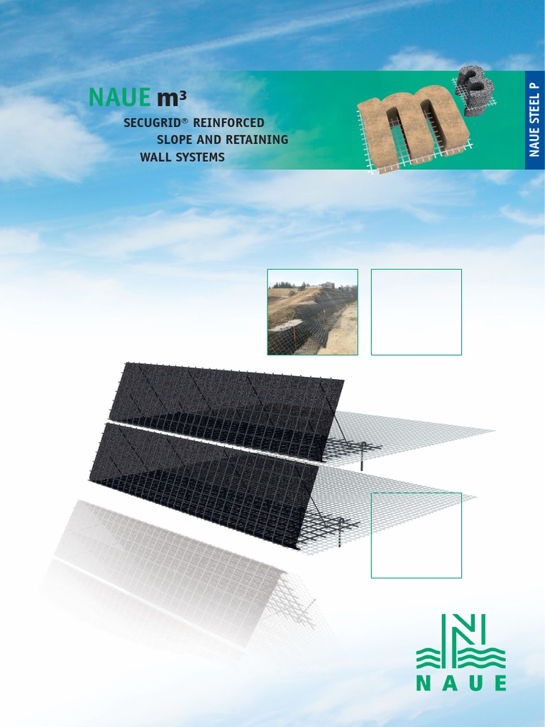 m3 - NAUE Steel P | PDF | Engineering | Civil Engineering