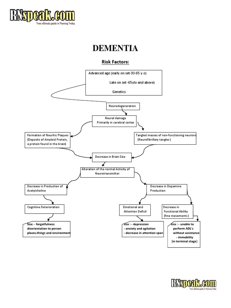 Dementia Pathophysiology | PDF