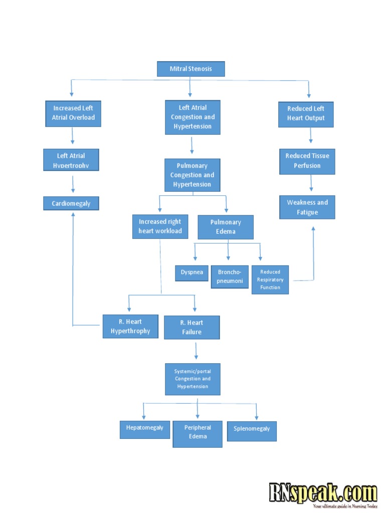 Congestive Heart Failure Schematic Diagram