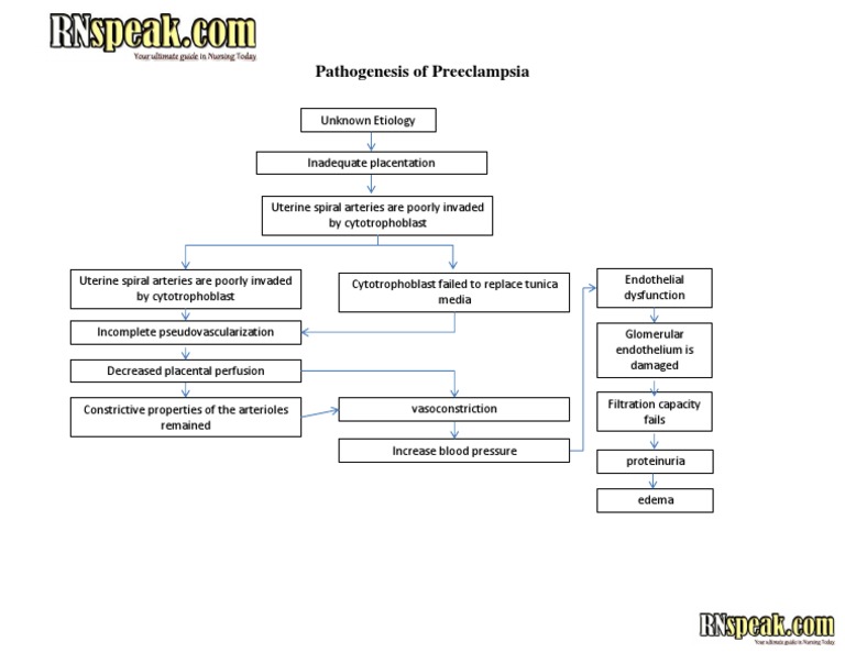 Preeclampsia Pathophysiology and Schematic Diagram | PDF ...