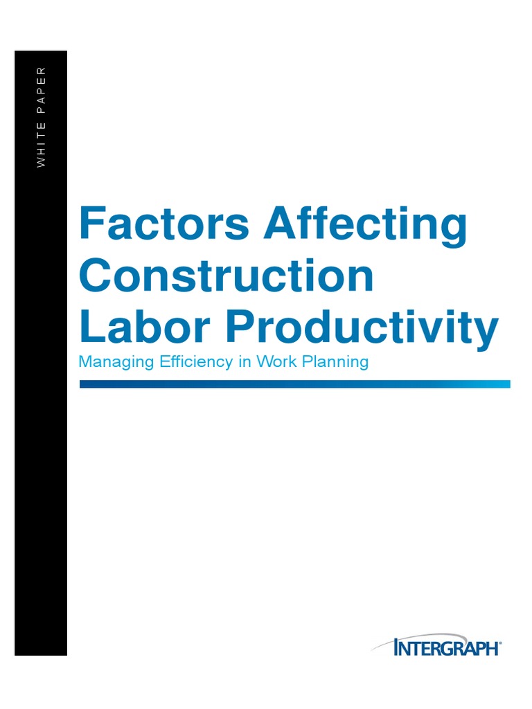 Factors Affecting Labour Productivity | PDF