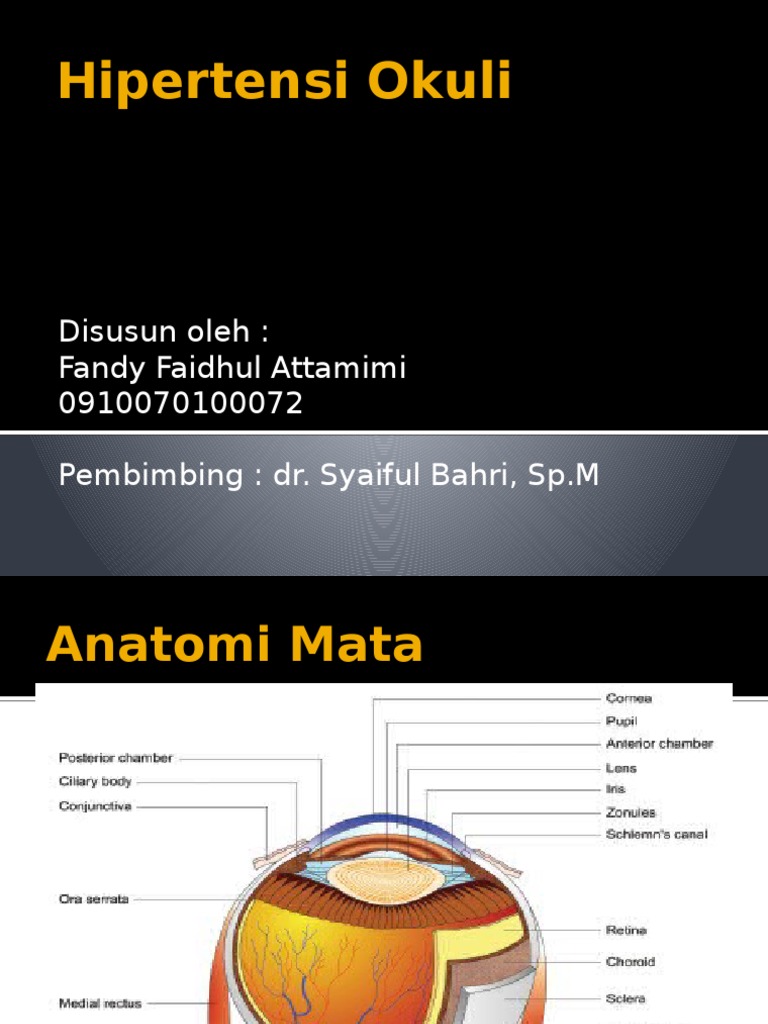 Hipertensi Okuli | PDF | Sains & Matematika
