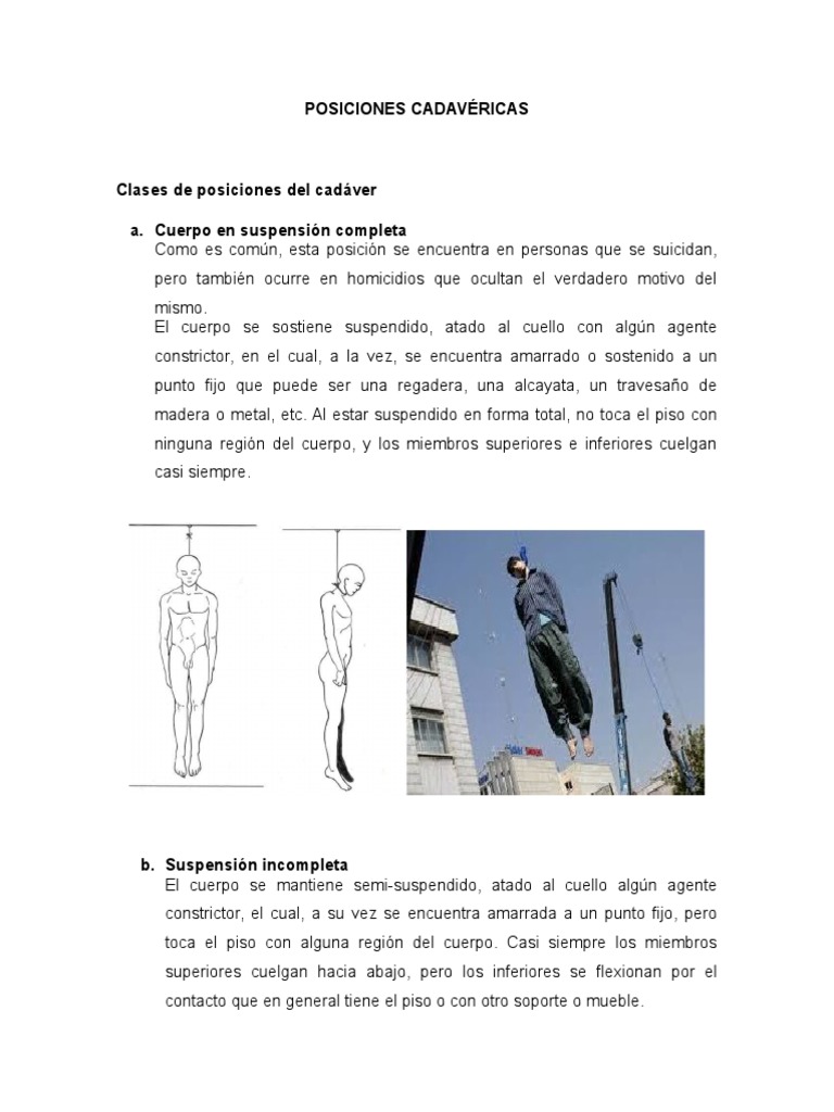 Posiciones Cadavéricas | PDF | Términos anatómicos de ubicación | Science