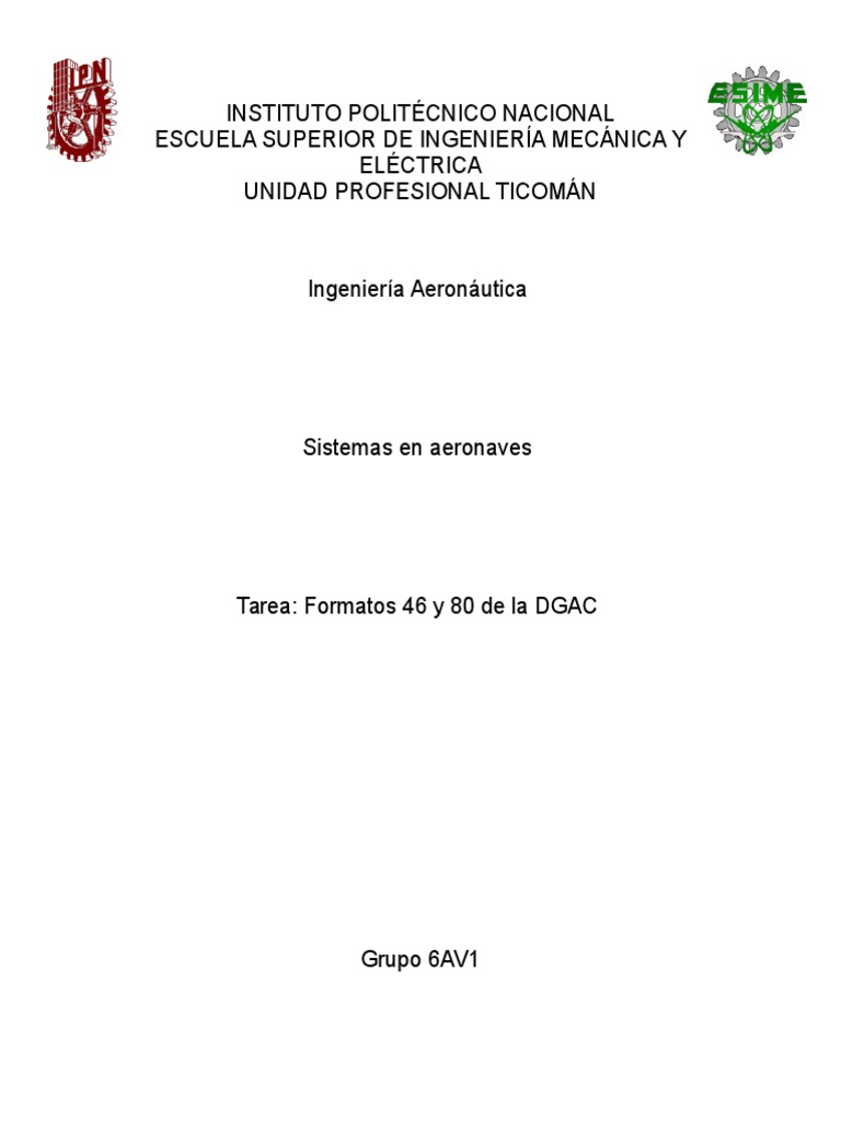 Formatos DGAC 46 y 80 | PDF