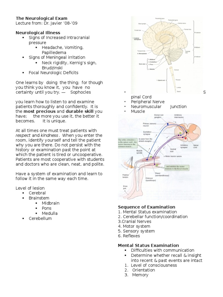 Comprehensive Neurological Exam Guide | PDF | Neurology | Nervous System