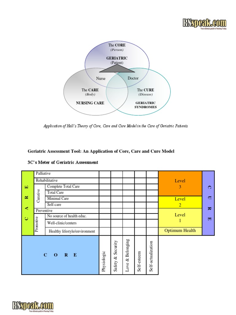 Geriatric Assessment Tool An Application of Core - Care and Cure Model ...