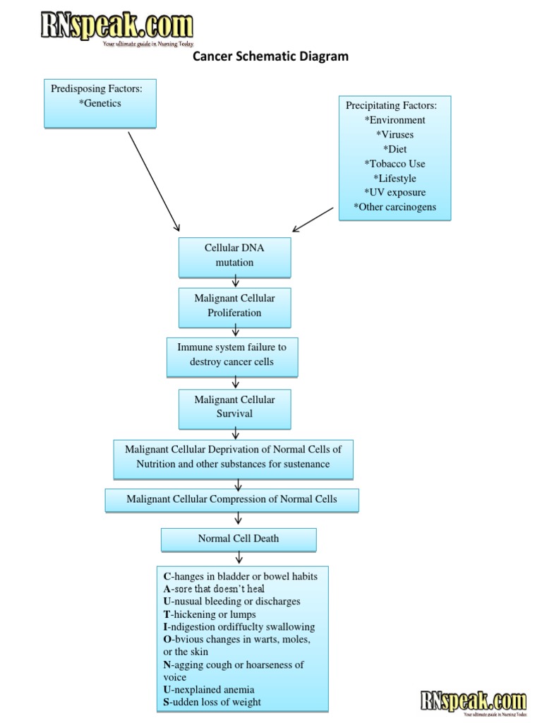 Cancer Schematic Diagram | Cancer | Epidemiology