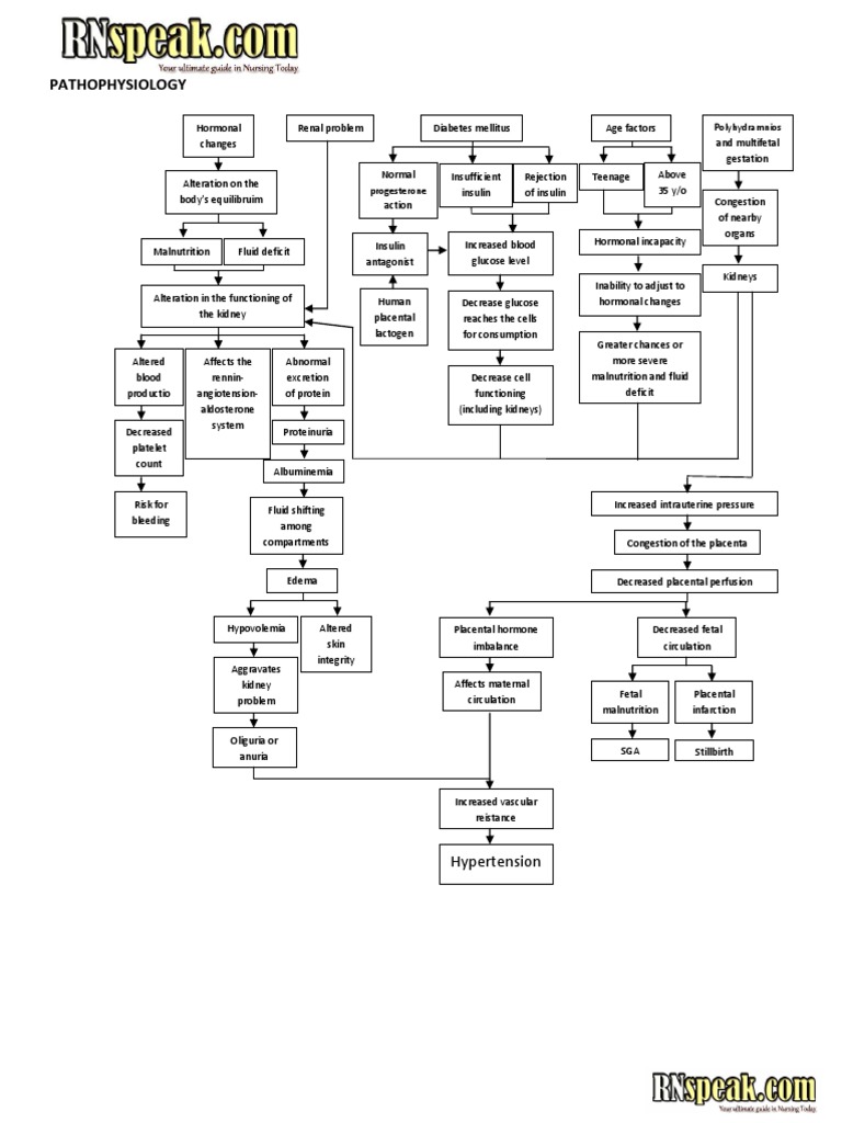Pregnacy Induced Hypertension - PIH - Pathophysiology | PDF ...