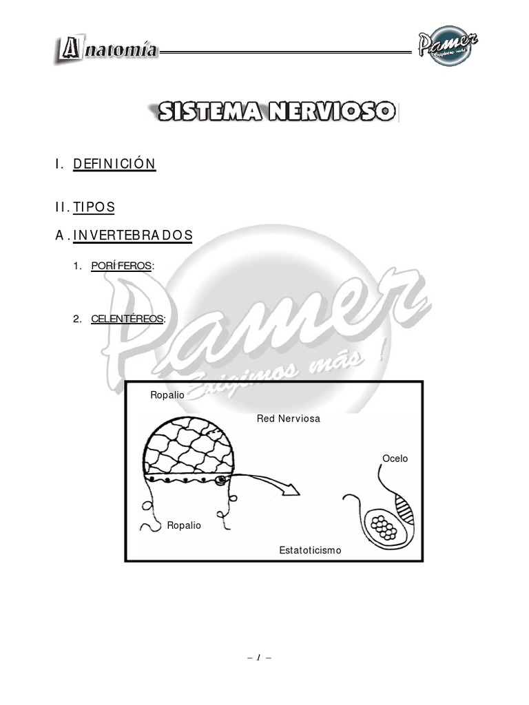Sist. Nerv. en Animales PDF | PDF | Bienestar | Ciencia y matemática