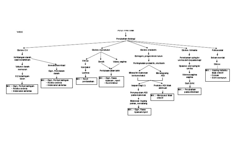 Woc Post Partum | PDF
