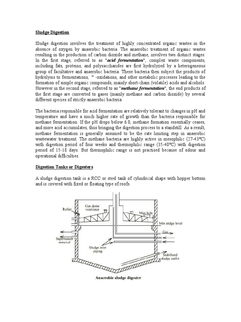 Sludge Digestion | Anaerobic Digestion | Fermentation