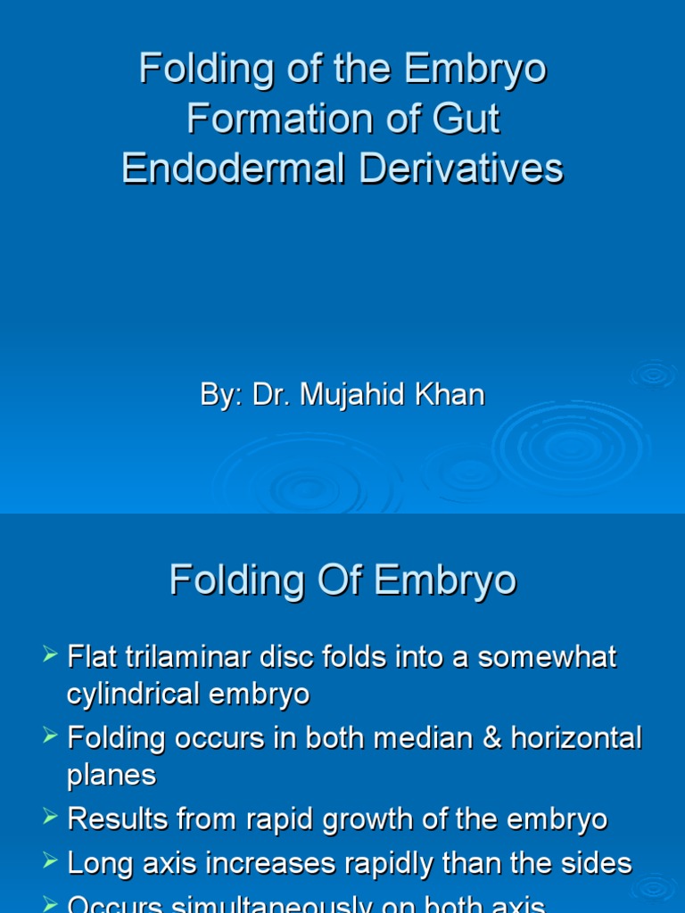 Folding of an Embryo | Gastrointestinal Tract | Anatomical Terms Of ...