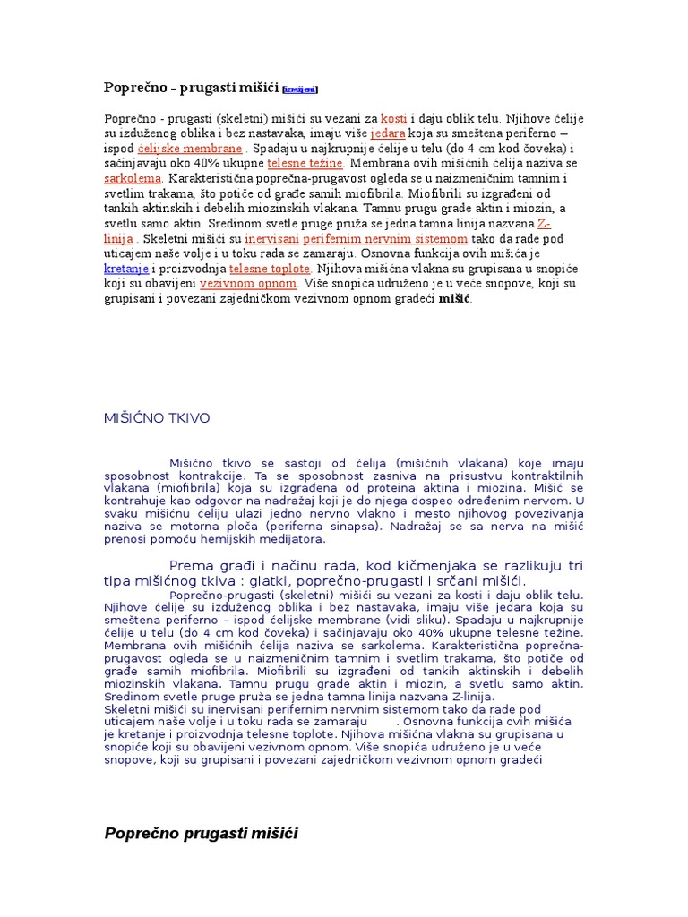 Poprečno-Prugasti Misici | PDF