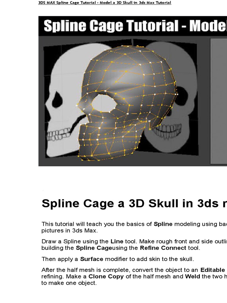 3DS MAX Spline Cage Tutorial | PDF | Autodesk 3ds Max | Vertex (Geometry)