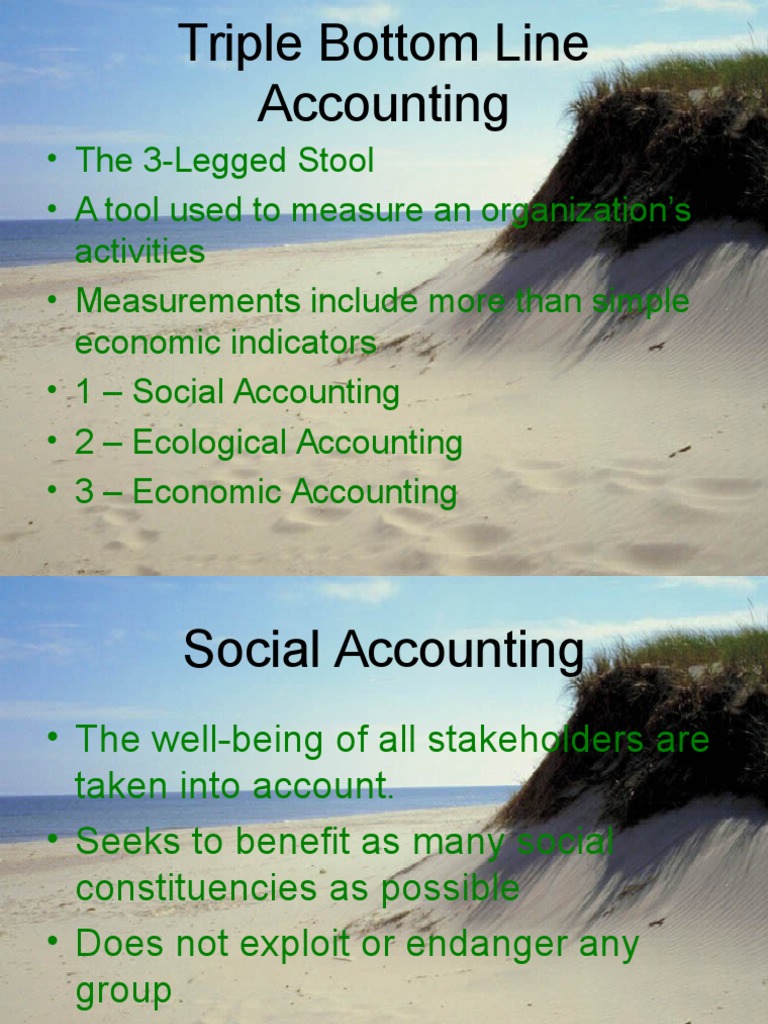 Triple Bottom Line Accounting | PDF | Sustainability | Environmental ...