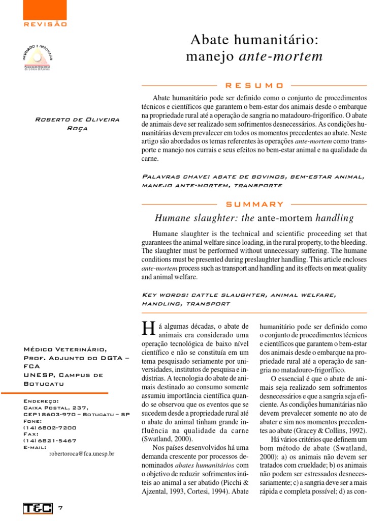 Ante Mortem | PDF