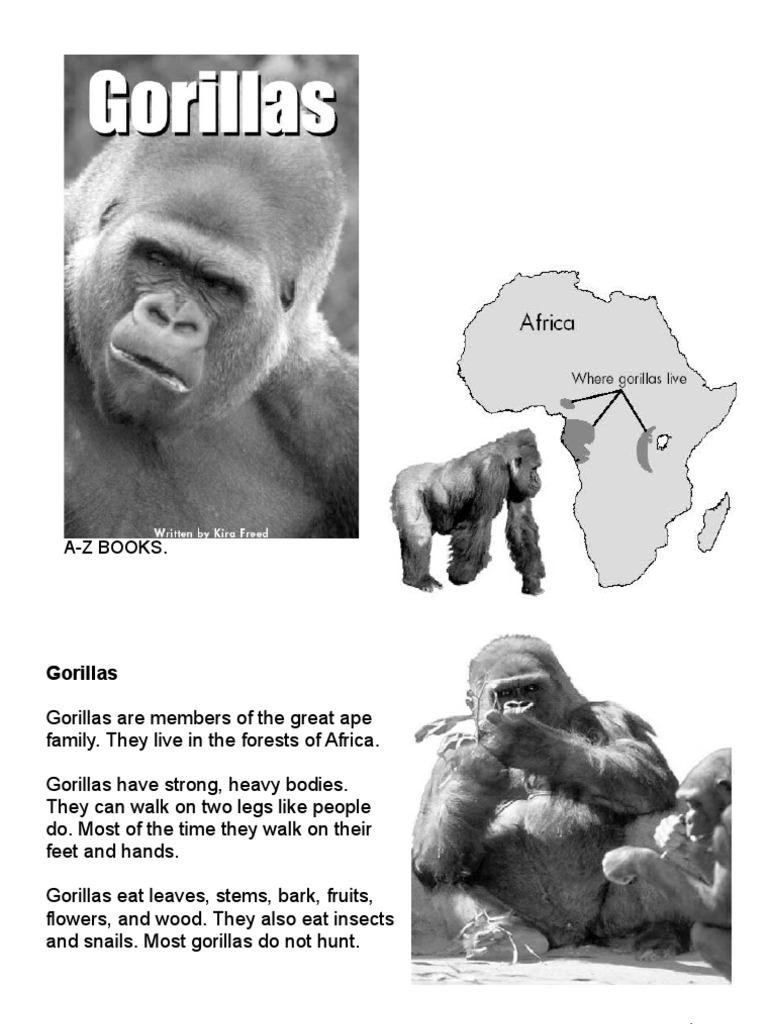 Gorillas: Facts and Conservation | PDF