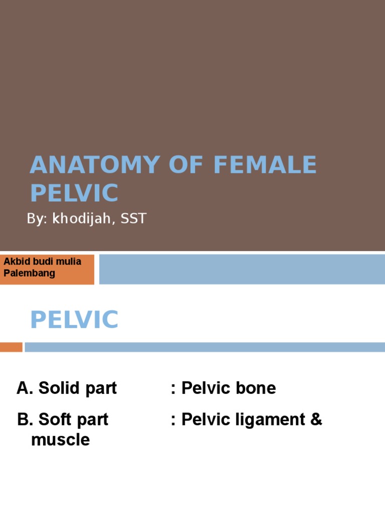 Anatomy of the Female Pelvis: A Comprehensive Look at Pelvic Bone ...