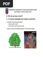 Preferred Practice Patterns: APTA Guide To Physical Therapy Practice ...