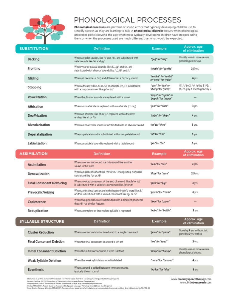 phonological processes 1 | Consonant | Phonetics
