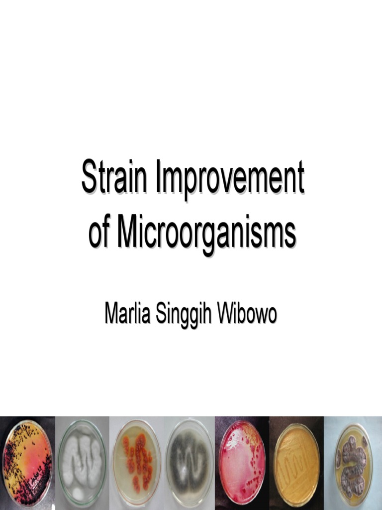 Strain Improvement in Microorganisms | PDF | Mutagenesis | Mutation