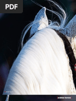 Pony Club C Test Guidelines | PDF | Horse Gait | Horses