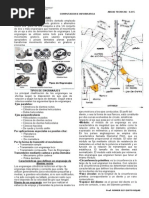 Nomenclatura Roscas | PDF | Tornillo | Ingeniería mecánica