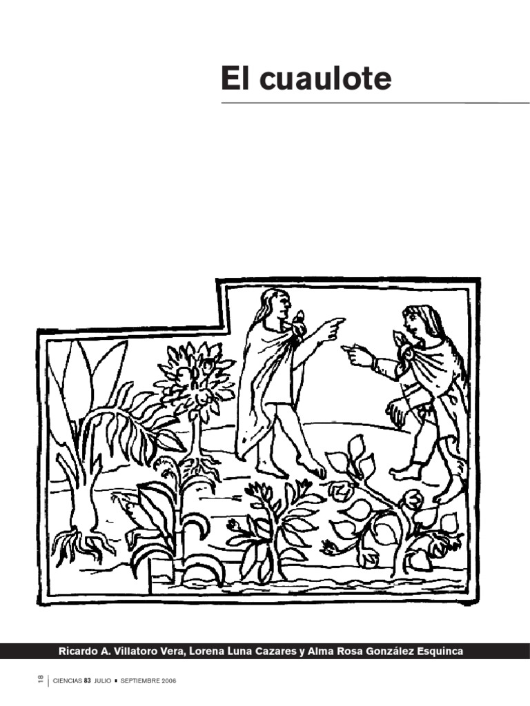 VILLATORO2006-El Caulote Recurso Herbolario de Chiapas | PDF | Selva ...